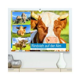 Calvendo Wandkalender Rindvieh auf der Alm. Kühe im Bergsommer (Premium