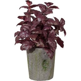Kunstpflanze Basilikumbusch Basilikum, Creativ green, Höhe 23 cm, lila