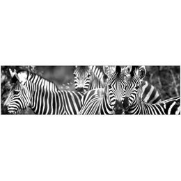 MySpotti Küchenrückwand fixy Zebra herd, selbstklebende und flexible Küchenrückwand-Folie, schwarz