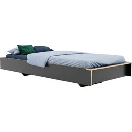 Müllermöbel Müller SMALL LIVING Einzelbett FLAI HIGH, Komfort Höhe 40 cm ohne Kopfteil, grau