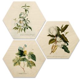 Wall-Art Mehrteilige Bilder Botanische Collage Blumen Floral, Grundriss (Set, 3 St), Holzposter modern, bunt