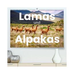 Calvendo Wandkalender Lamas und Alpakas