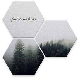 Wall-Art Mehrteilige Bilder Silber Effekt Pure Nature Wald, Pflanzen (Set, 3 St), Metallschild Collage, bunt