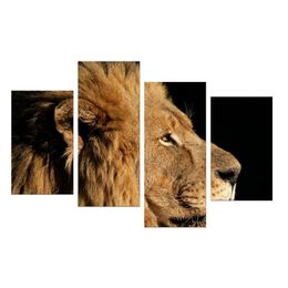 Bilderdepot24 Leinwandbild Großer Afrikanischer Löwe