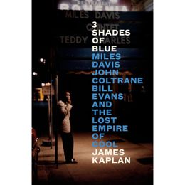 Penguin Random House 3 Shades of Blue - James Kaplan, Gebunden