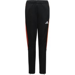 adidas Sportswear Trainingshose TIRO23 CBTRPNTY 000