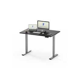 FlexiSpot Schreibtisch Basic Plus Elektrisch Höhenverstellbarer Schreibtisch (E1(EF1)