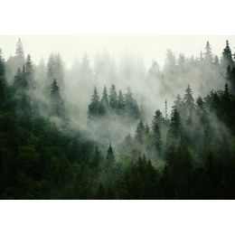 Wallarena Fototapete Selbstklebend Wald im Nebel Wasserfall Landschaft Modern Wohnzimmer Schlafzimmer