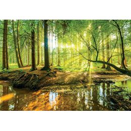 Wallarena Fototapete Selbstklebend 3D Effekt Wald Natur Landschaft Modern Wohnzimmer Schlafzimmer