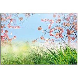 Wallario Sichtschutzzaunmatten Kirschblütenzweige und grüne Wiese- Frühling