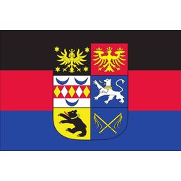 flaggenmeer Flagge Ostfriesland mit Wappen 120 g/m² Querformat