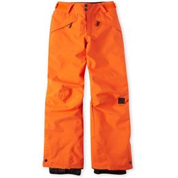 O`Neill O'Neill Skihose ANVIL PANTS 12519 Puffin`s Bill