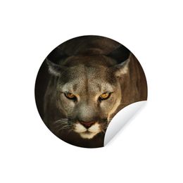 MuchoWow Wandsticker Ein Puma in Jagdstellung mit gelben Augen (1 St)