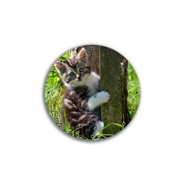 Wallario Sichtschutzzaunmatten Süßes Kätzchen an einem Baum