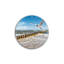 Wallario Sichtschutzzaunmatten Fliegende Möwe am Strand