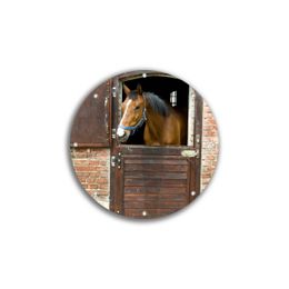 Wallario Sichtschutzzaunmatten Pferd im Stall