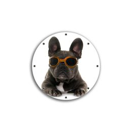 Wallario Sichtschutzzaunmatten Cooler Hund mit Sonnenbrille in orange