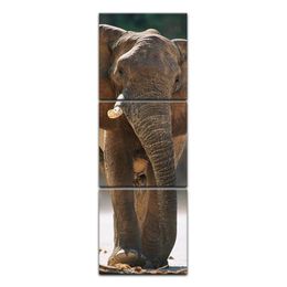 Bilderdepot24 Leinwandbild Elefantenbulle
