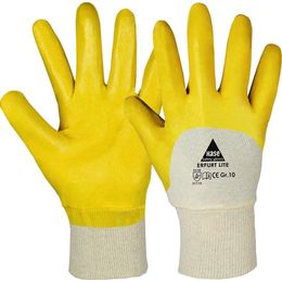 HASE SAFETY GLOVES Nitril-Handschuhe Erfurt LIte 6 Paar