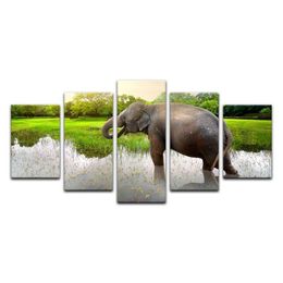 Bilderdepot24 Leinwandbild Elefant im Wasser