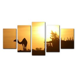 Bilderdepot24 Leinwandbild Kamel in Ägypten