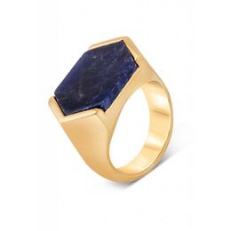 Akitsune Siegelring Abyss Ring Gold