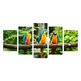 Bilderdepot24 Leinwandbild Blau-Gelber Macaw Papagei