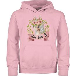 Shirtracer Hoodie Ich bin drei mit süßem Pferd mit Blumen 3. Geburtstag