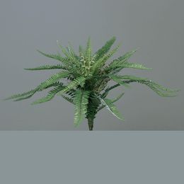 SONSTIGE Kunstpflanze Farnbusch (H 65 cm)