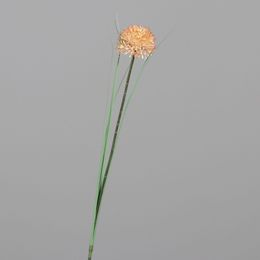 SONSTIGE Kunstblume Allium (H 66 cm)