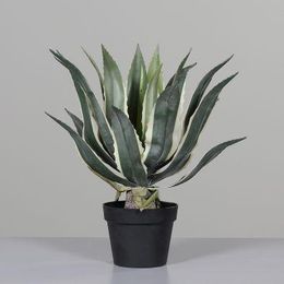 SONSTIGE Kunstpflanze Agave (H 53 cm)