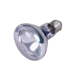 Trixie Neodymium Basking Spot-Lamp 100W R80 E27