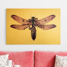 Bilderwelten Leinwandbild Tiere Illustration Kunstdruck violett - Illustration florale Libelle - Insekten XXL Wohnzimmer Schlafzimmer
