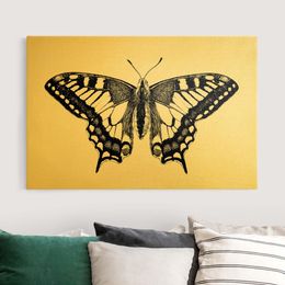 Bilderwelten Leinwandbild Tiere Illustration Kunstdruck schwarz - Illustration fliegender Schwalbenschwanz Schwarz - Schmetterlinge XXL Wohnzimmer Schlafzimmer