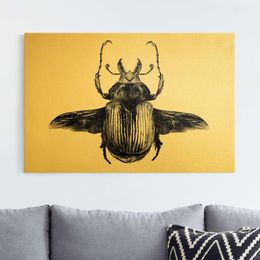Leinwandbild Illustration fliegender K&auml;fer Schwarz