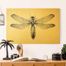 Bilderwelten Leinwandbild Tiere Illustration Kunstdruck schwarz - Illustration fliegende Libelle Schwarz - Insekten XXL Wohnzimmer Schlafzimmer