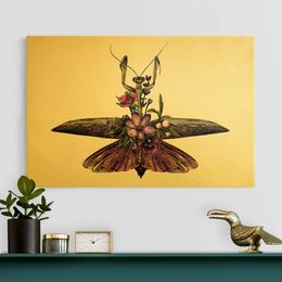 Bilderwelten Leinwandbild Tiere Illustration Kunstdruck gr&uuml;n - Illustration florale Mantis - Insekten XXL Wohnzimmer Schlafzimmer