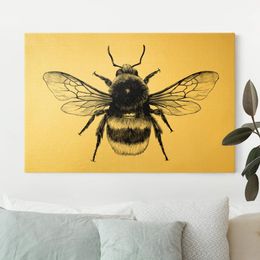 Bilderwelten Leinwandbild Tiere Illustration Kunstdruck schwarz - Illustration fliegende Hummel Schwarz - Insekten XXL Wohnzimmer Schlafzimmer