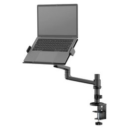 Neomounts by NewStar Full-Motion-Tischhalterung für 11.6-17.3″ Laptops Laptop-Ständer