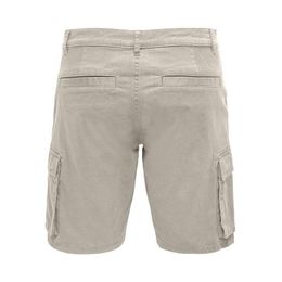 Only & Sons ONLY & SONS Shorts, grau