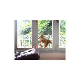 MICASIA Fensterfolie - Fenstersticker No.137 Eichhörnchen - Fensterbilder Größe HxB: 20cm x 18cm