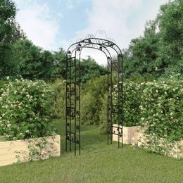 Bonnevie - Gartenbogen Schwarz 116x45x240 cm Stahl vidaXL655032