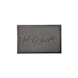 acerto ® - Schmutzfangmatte 40x60cm Hola schlicht grau Fußmatte Türmatte Sauberlaufmatte