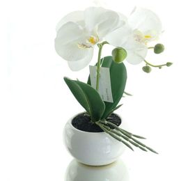 Orchidee Weiß im runden Keramiktopf - Kunstblumen - Gasper