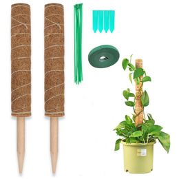 2x Pflanzstab Pflanztunnel Kokos Moosstab Pflanzenstütze mit Kokos Moos für Pflanzen 40cm - Swanew