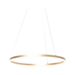 Qazqa - Design Ring Pendelleuchte Gold 80 cm inkl. led und Dimmer - Anello - Gold/Messing
