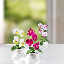 3 Orchideen im Keramik Topf, weiß / pink, 28 cm hoch, Kunstpflanzen, Kunstblumen DEKO pflanzen
