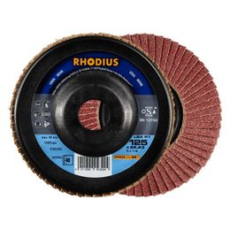 Rhodius Abrasives - rhodius lsa P1, 10 Stück, 125 mm, Korn 40, Fächerscheibe
