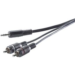 SpeaKa Professional - SP-7870368 Cinch / Klinke Audio Anschlusskabel [2x Cinch-Stecker - 1x Klinkenste