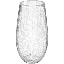 Gewölbte Vase - Craquelé-Glas - H27 cm Atmosphera Transparent